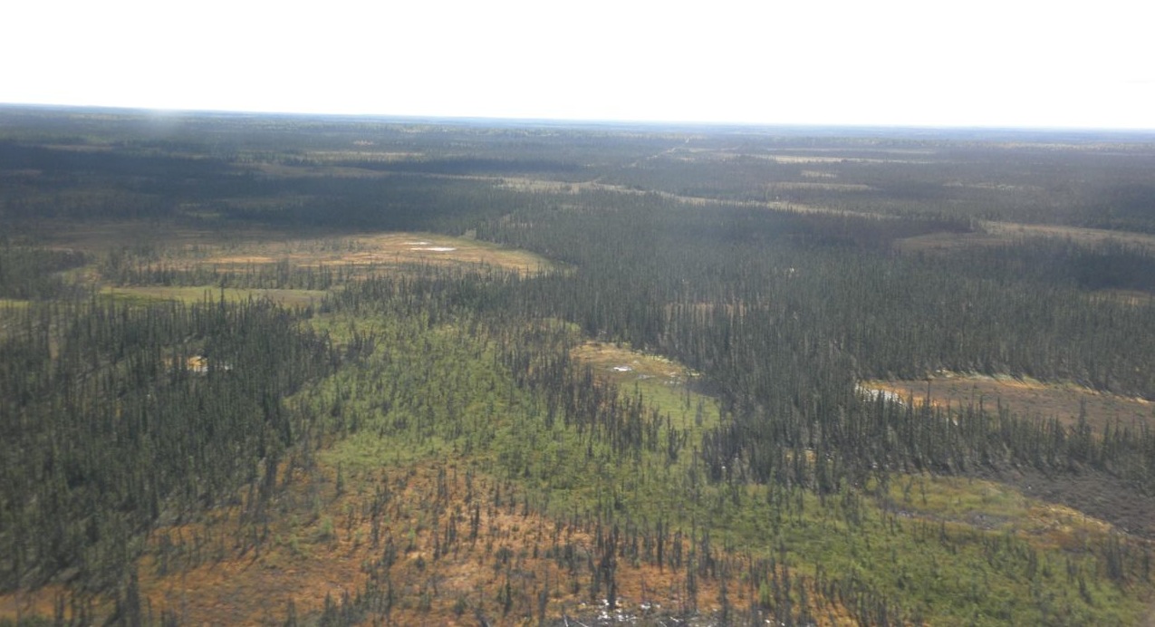 Taiga Plains Research Network